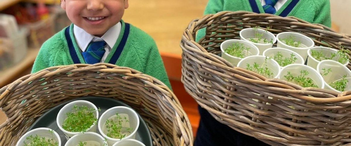 Lady Lane Park School - Admissions